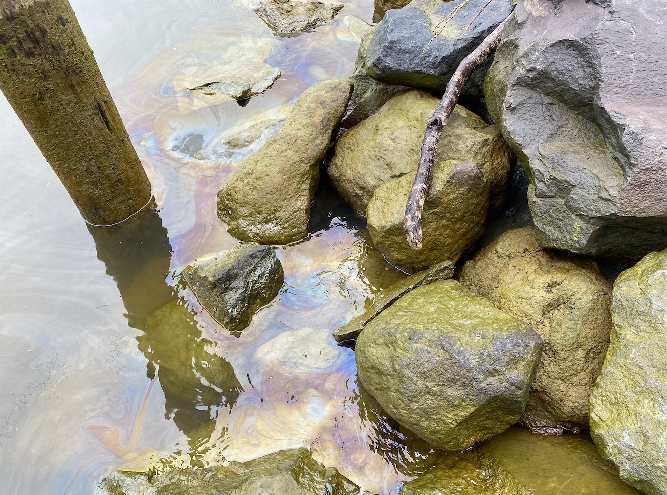 Councils Taking Action: More Environmental Compliance and Enforcement